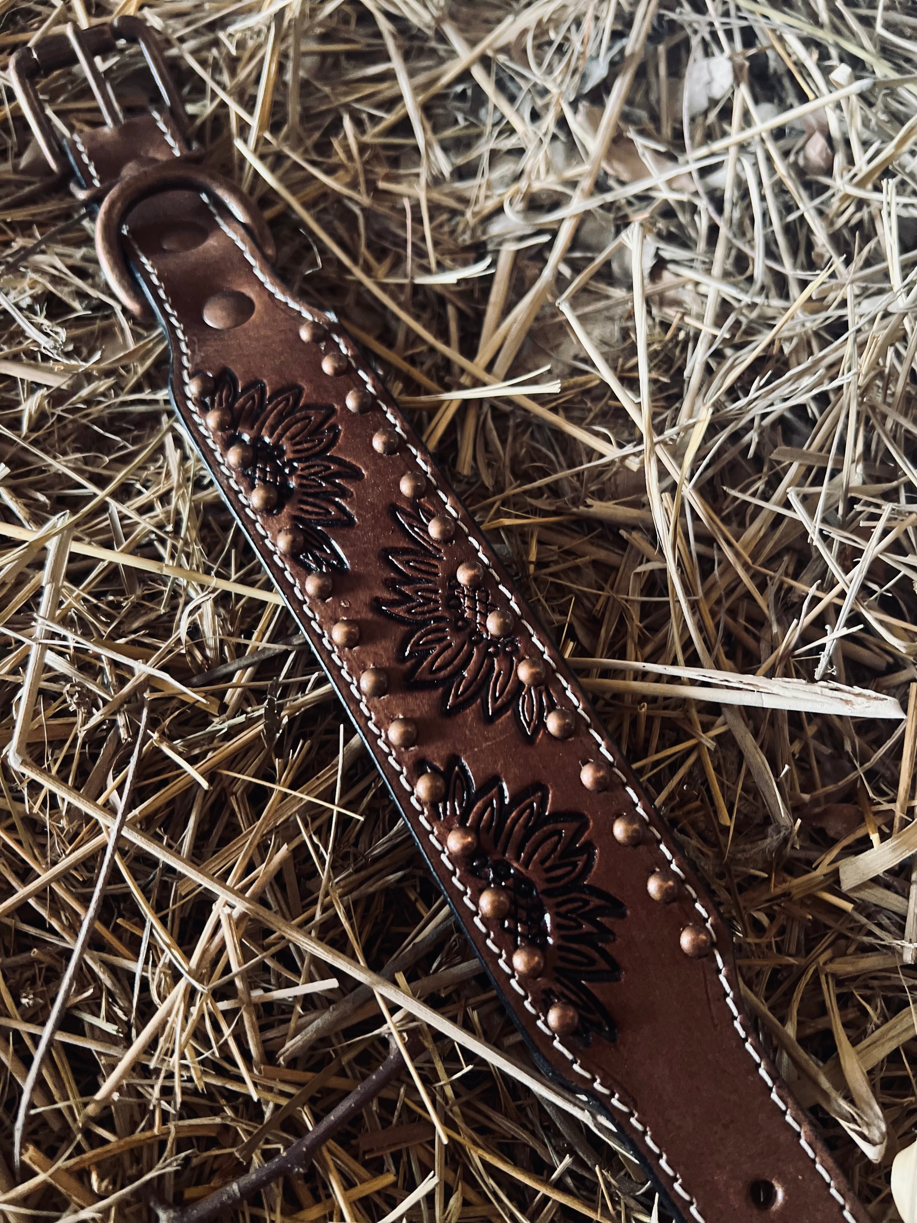 Tooled Dog Collar-Neutral Sunflowers – L3 Designs Leather